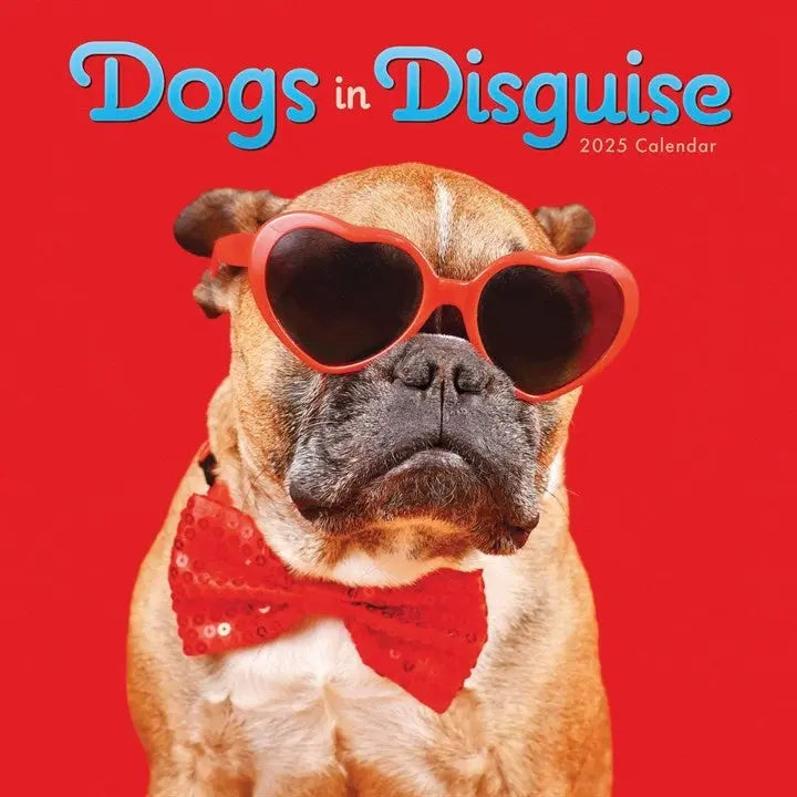 The best dog calendars that will make you smile all year.