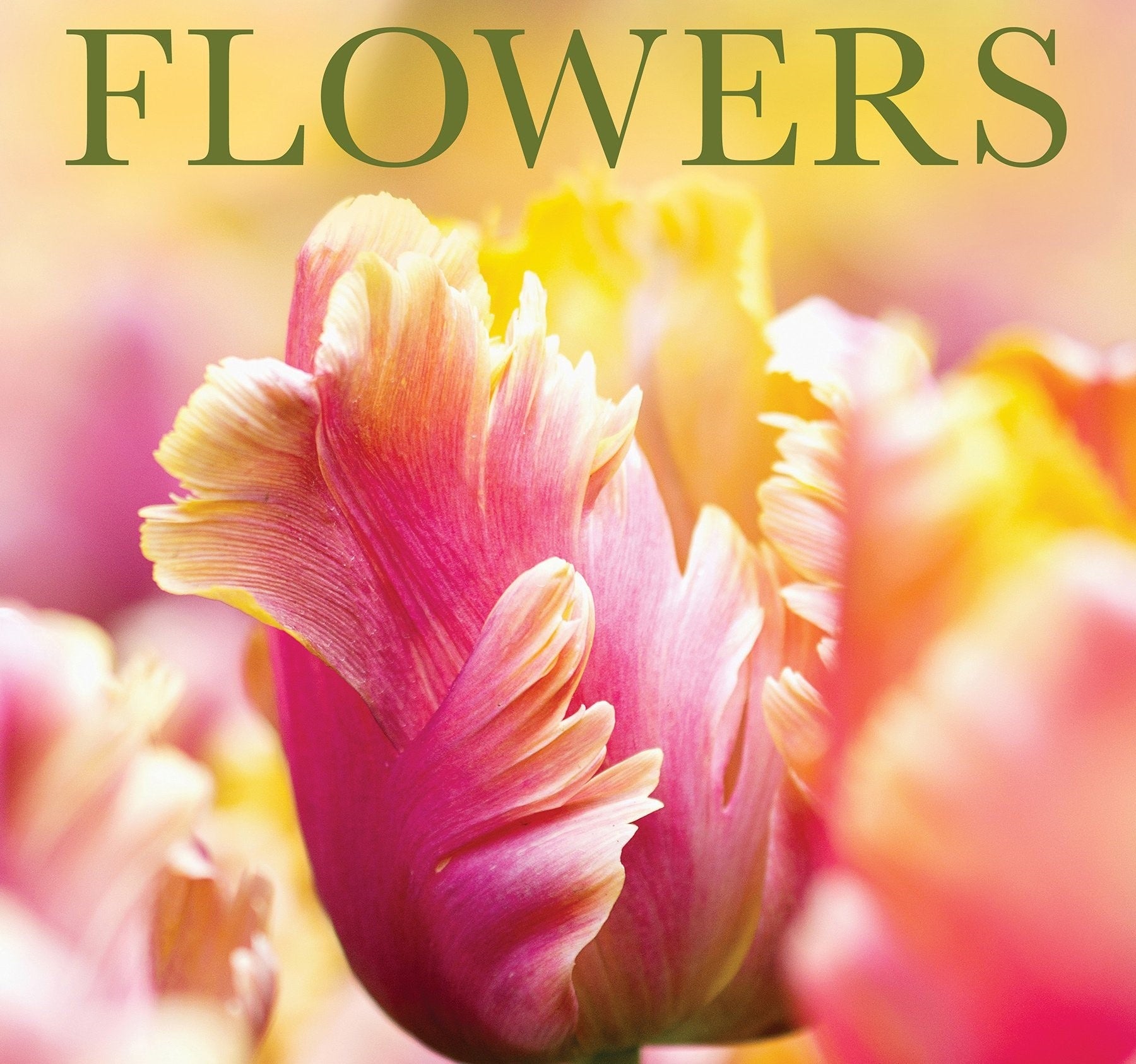 Bellezas en flor: Un año lleno de flores Calendarios para 2025