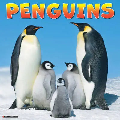 Buy Penguin Calendar | Large selection & Competitive prices ...